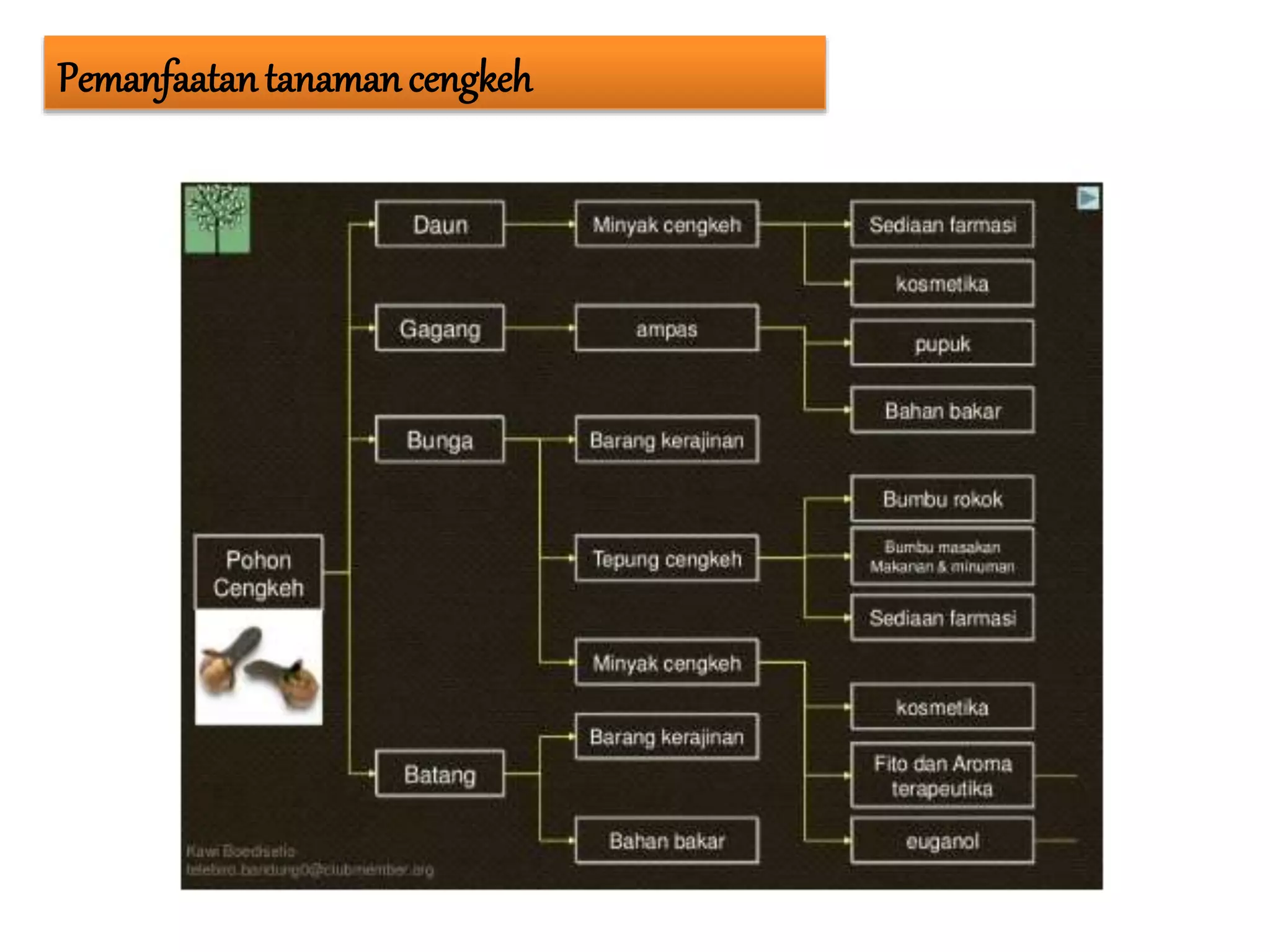 PPM, Tanaman Cengkeh, Potensi dan pemanfaatannya.pptx