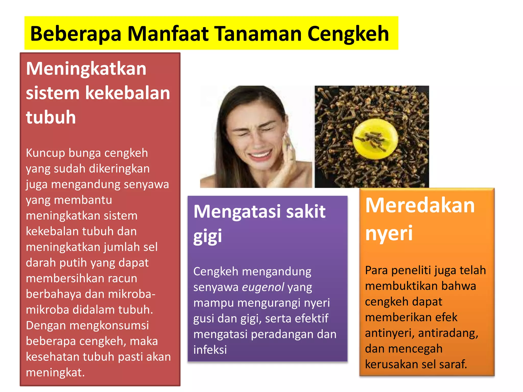 PPM, Tanaman Cengkeh, Potensi dan pemanfaatannya.pptx