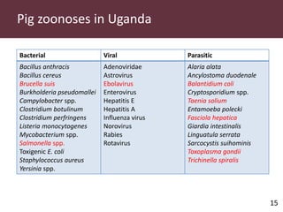 Pig and pork zoonoses in Uganda | PDF