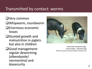 Pig and pork zoonoses in Uganda | PDF