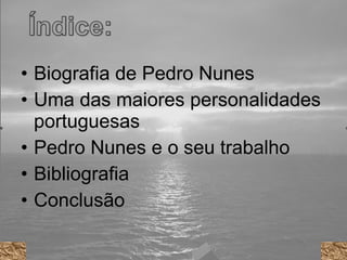 Pedro Nunes | PPT