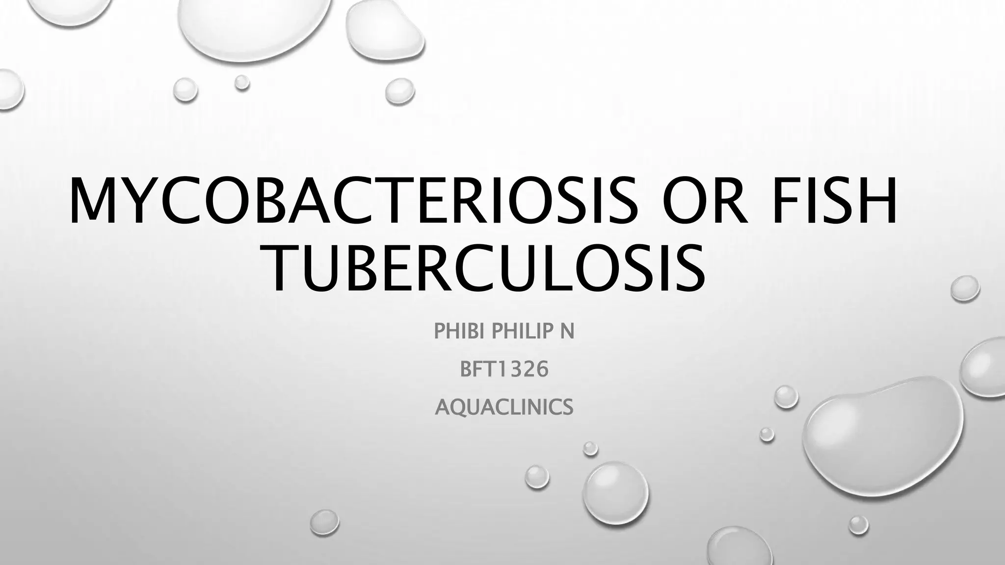 Mycobacteriosis or fish tuberculosis | PPTX
