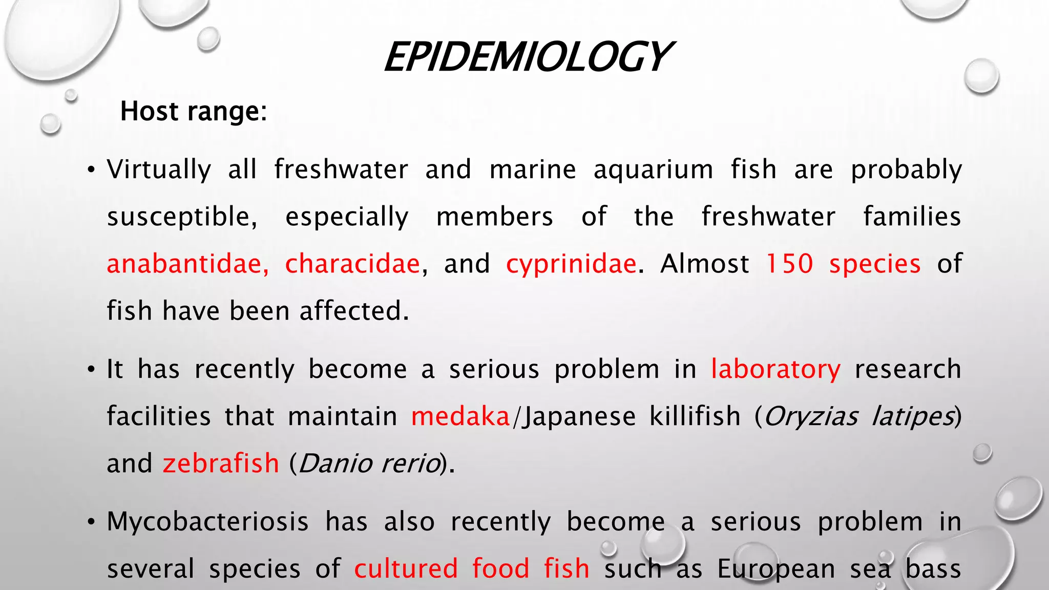 Mycobacteriosis or fish tuberculosis | PPTX