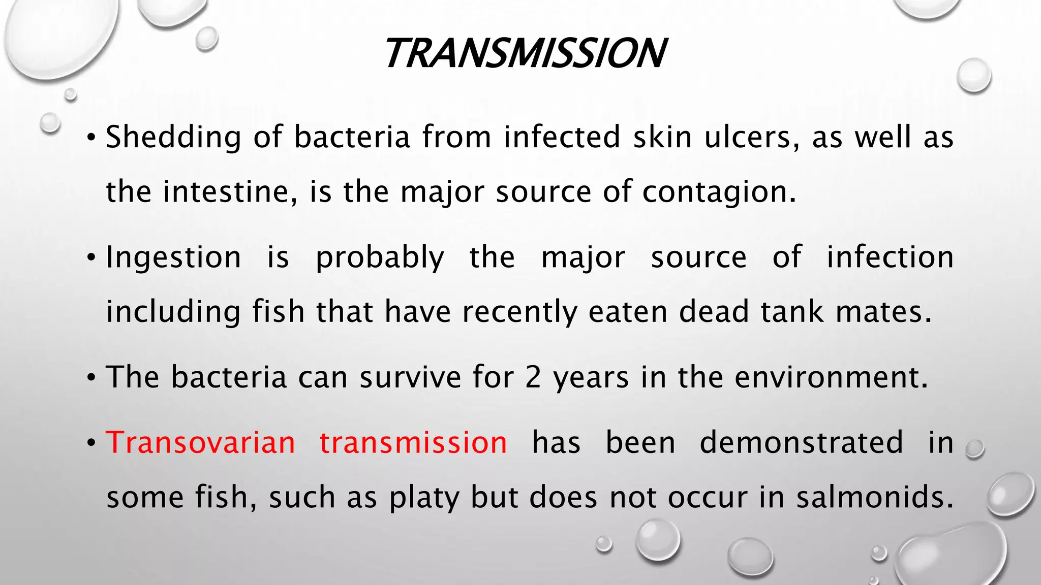 Mycobacteriosis or fish tuberculosis | PPTX