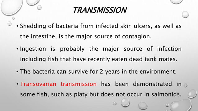 Mycobacteriosis or fish tuberculosis | PPTX | Infectious Diseases ...