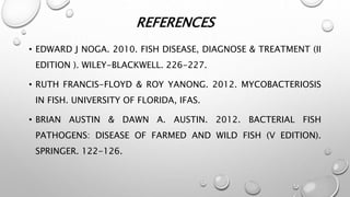 Mycobacteriosis or fish tuberculosis | PPT
