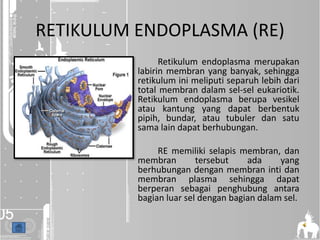 TUGAS BIOLOGI SEL EUKARIOTIK | PPTX