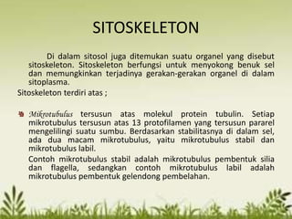 TUGAS BIOLOGI SEL EUKARIOTIK | PPT