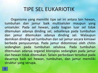 TUGAS BIOLOGI SEL EUKARIOTIK | PPTX