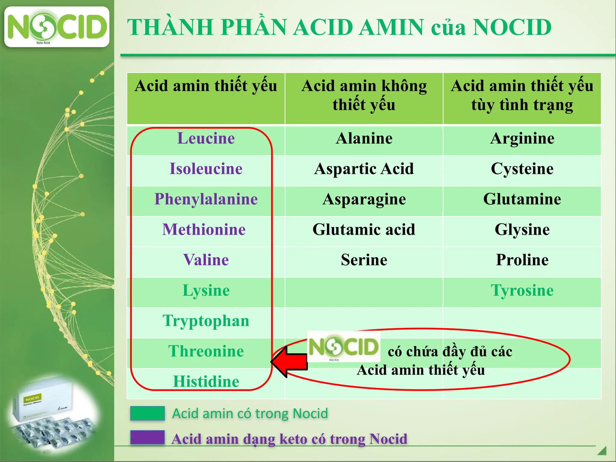 Product presentation about benefits of Nocid | PPT