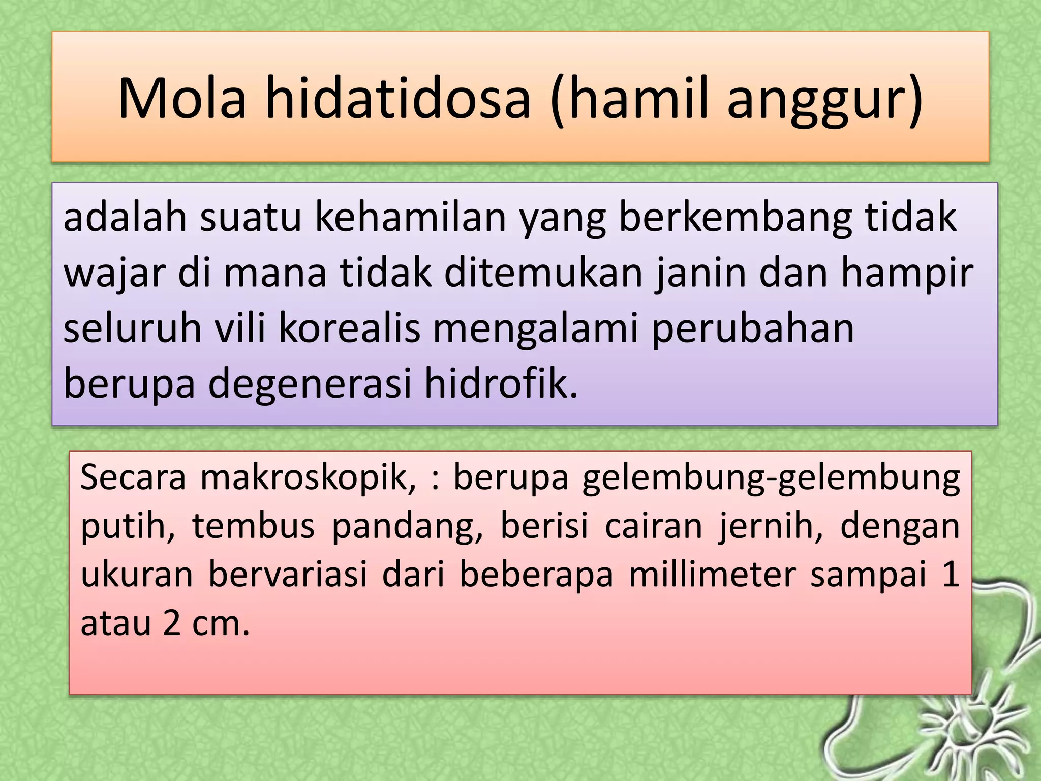 mola hidatidosa | PPTX