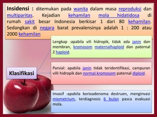 mola hidatidosa | PPTX