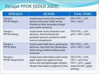 PPOK | PDF