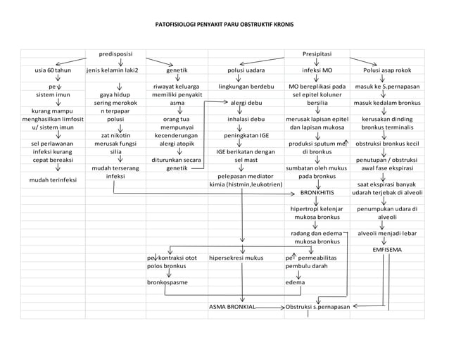 Patofisiologi penyakit paru obstruktif kronis | PDF