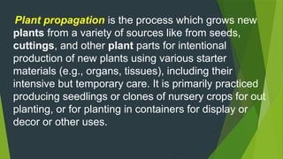 ppt ONmethods on plant pROPAGATION MATERIALS.pptx