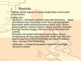 STRUKTUR DAN FUNGSI ORGANEL SEL | PPTX