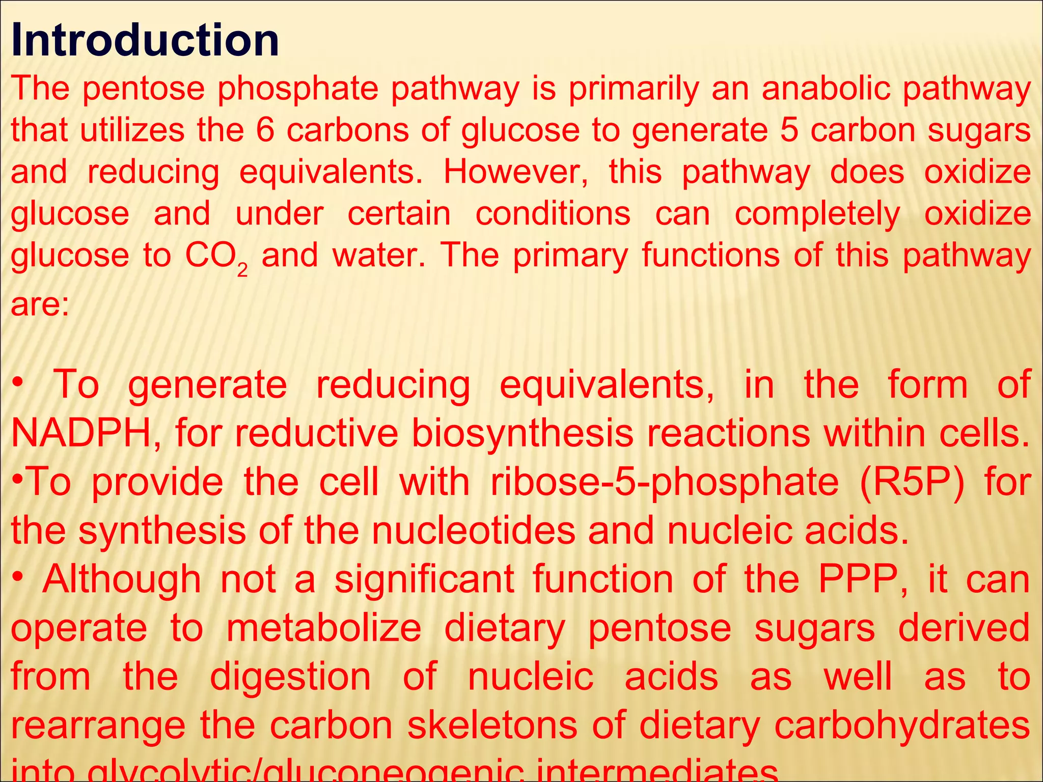 PENTOSE PHOSPHATE PATHWAY | PPT