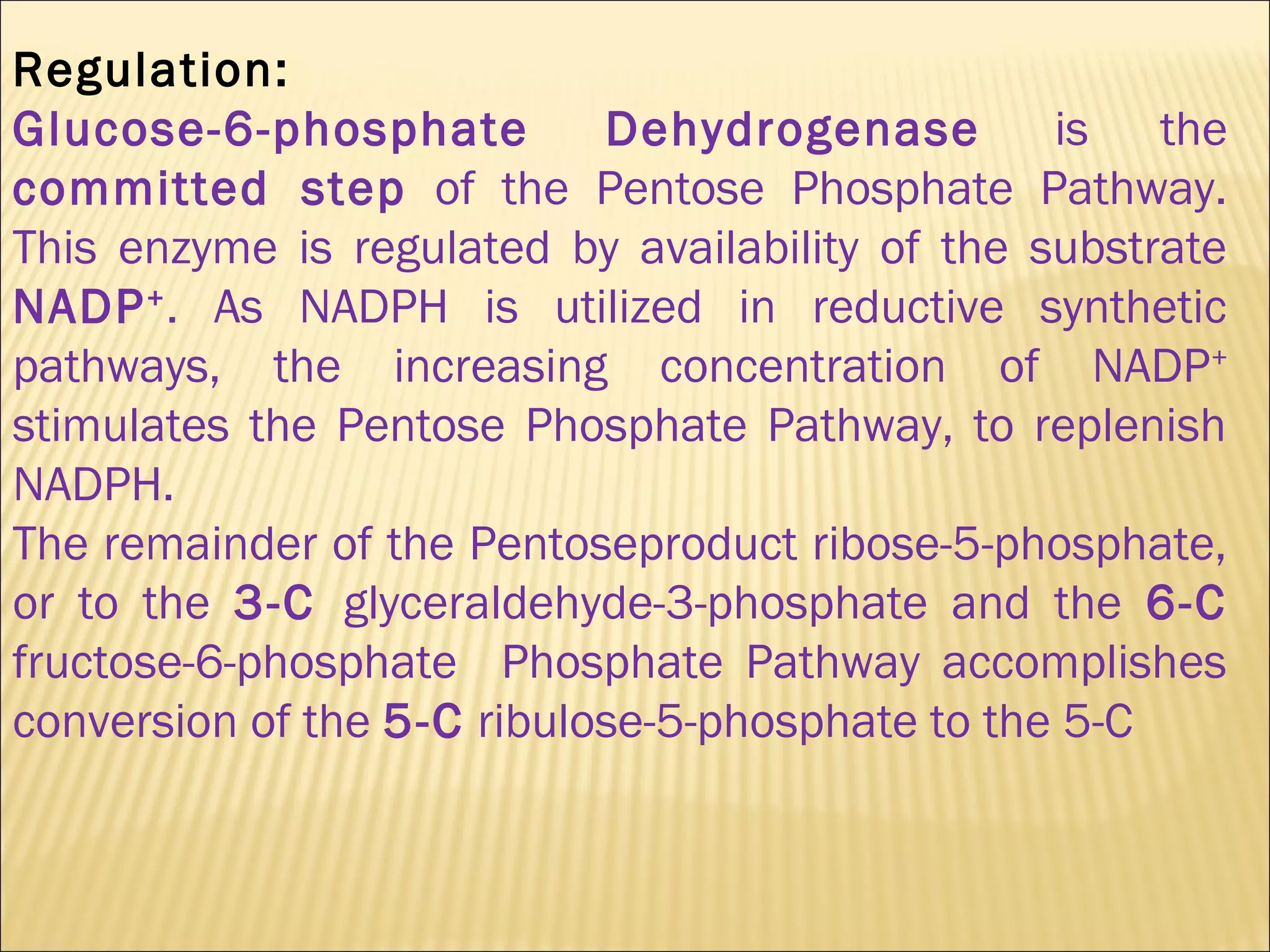 PENTOSE PHOSPHATE PATHWAY | PPT