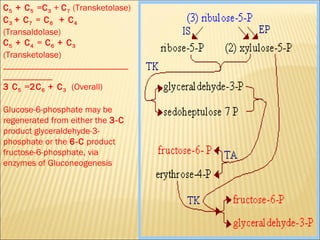 PENTOSE PHOSPHATE PATHWAY | PPT