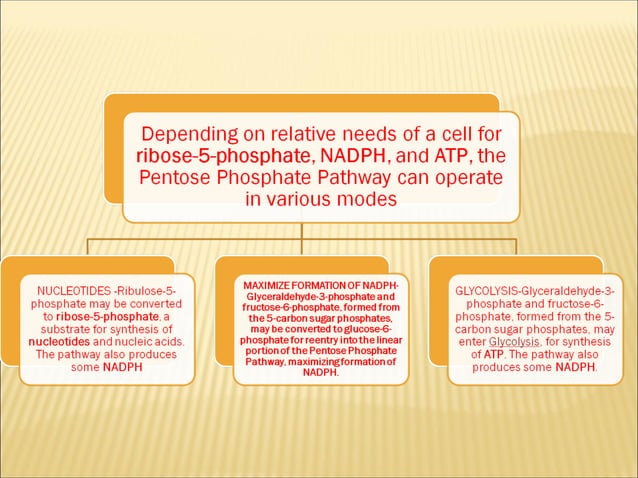 PENTOSE PHOSPHATE PATHWAY | PPT | Endocrine and Metabolic Diseases ...