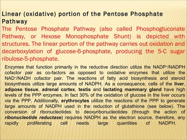 PENTOSE PHOSPHATE PATHWAY | PPT | Endocrine and Metabolic Diseases ...