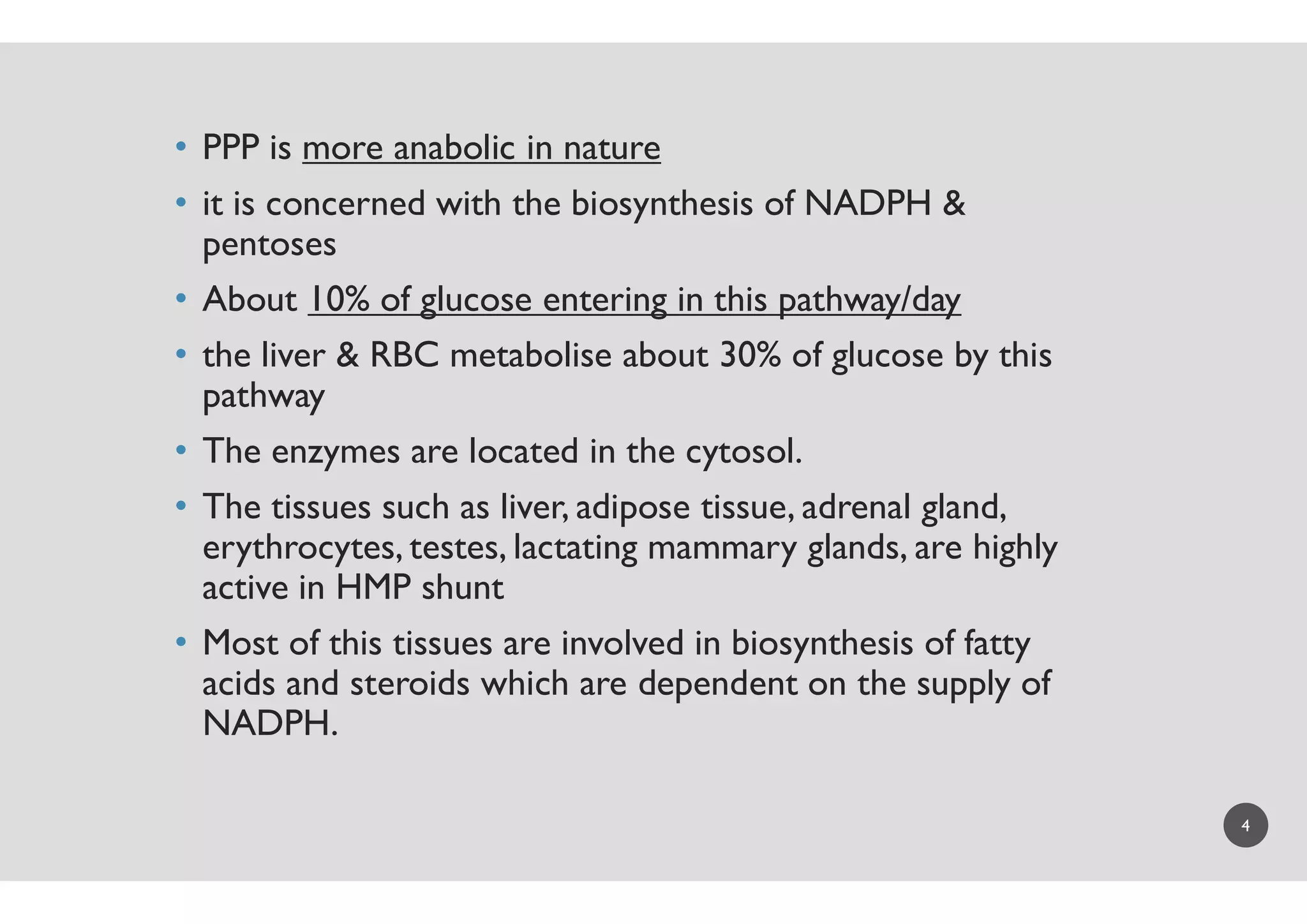 Pentose phosphate pathway (PPP) | PPT