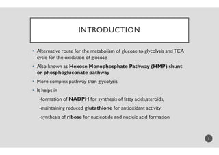 Pentose phosphate pathway (PPP) | PDF