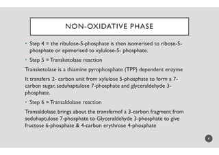 Pentose phosphate pathway (PPP) | PDF