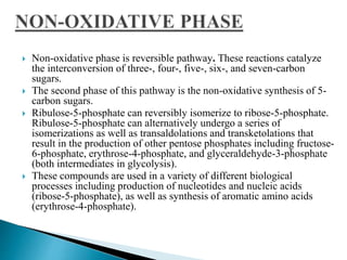PENTOSE PHOSPHATE PATHWAY | PPTX