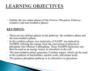 PENTOSE PHOSPHATE PATHWAY | PPTX