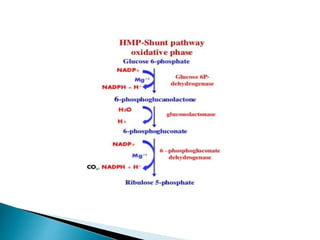 Hmp Shunt Nonoxidative