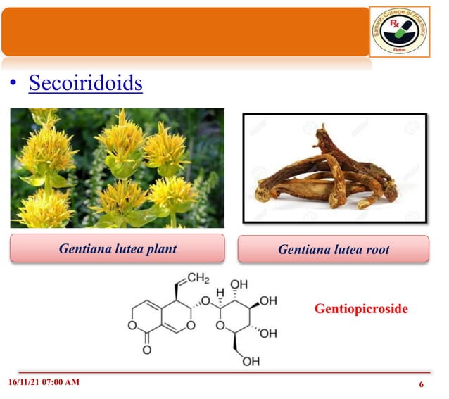 Introduction of iridoid | PPTX