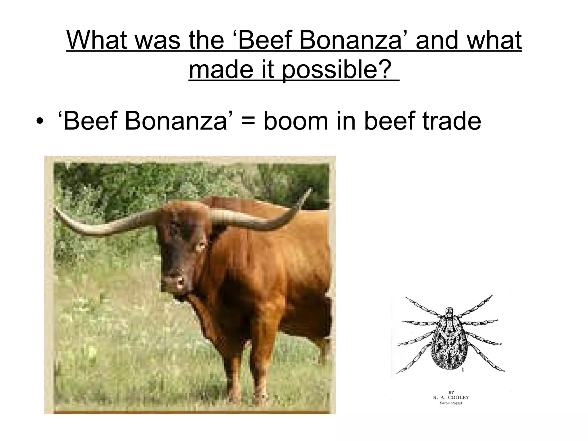 Ppp Beef Bonanza | PPT