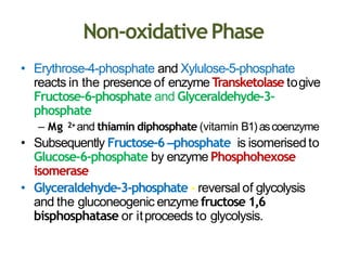 Pentose Phosphate Pathway | PPTX