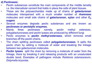 ppp 211 lecture 11.pptx | Gardening | Home & Garden
