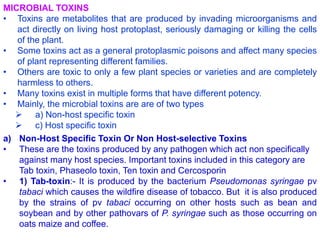 ppp 211 lecture 11.pptx