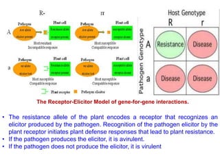 ppp 211 lecture 11.pptx