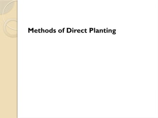 Perform direct planting of vegetable crops | PPTX