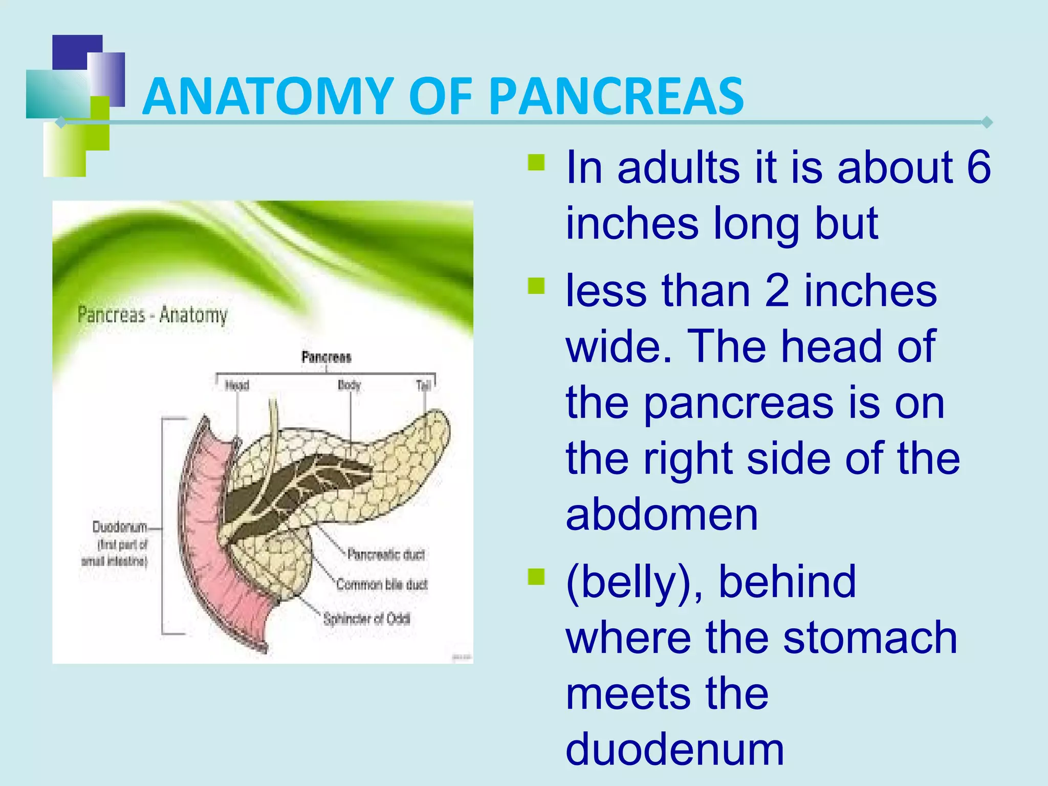 pancreatitis and pancreatic cancer | PPT