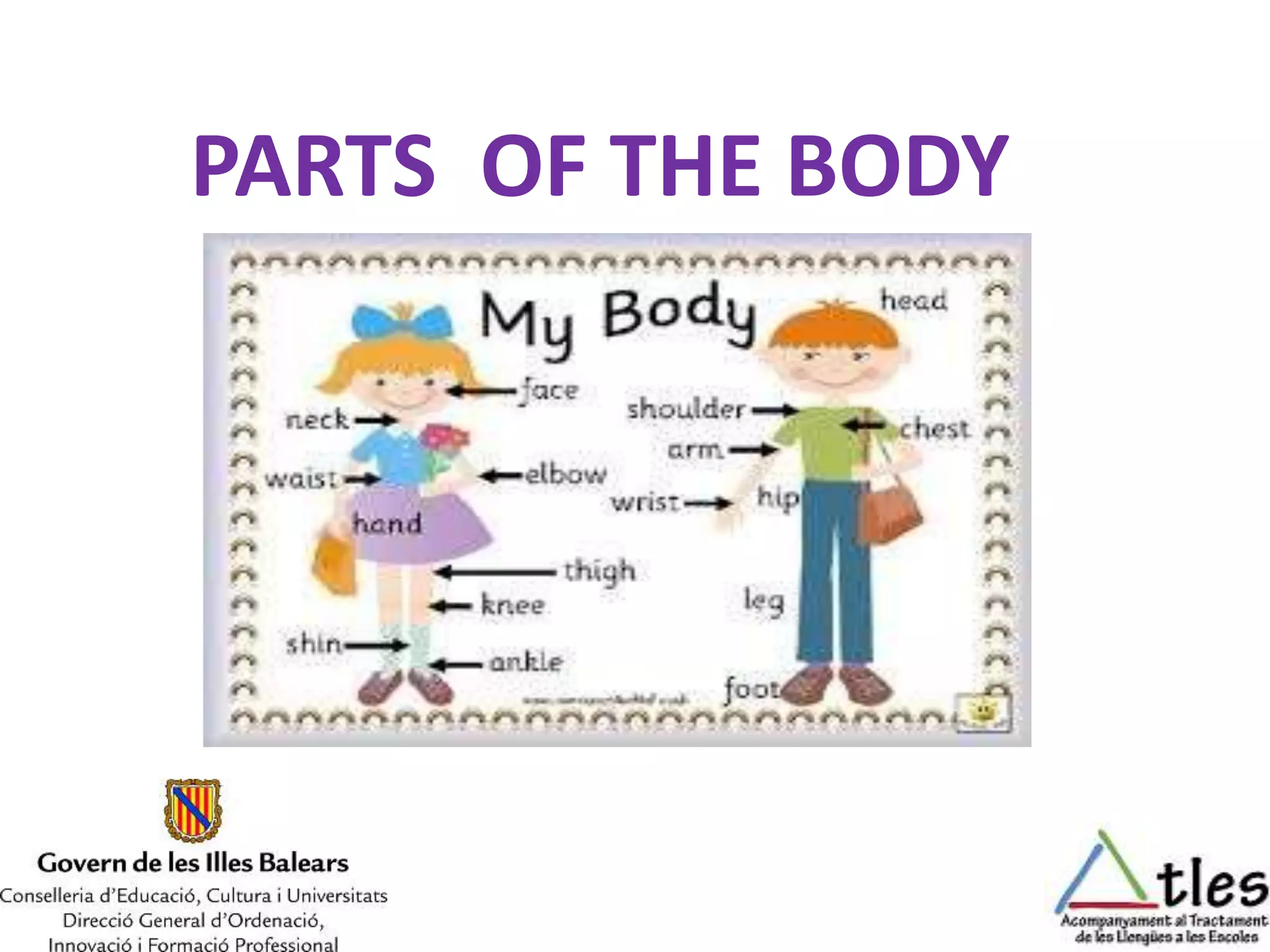 Parts of the Body 2 | PPTX