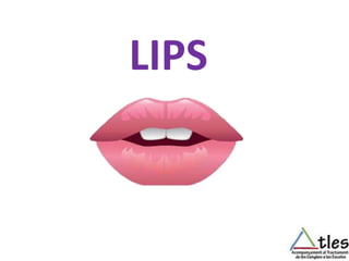 Parts of the Body 2 | PPT