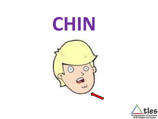 Parts of the Body 2 | PPT