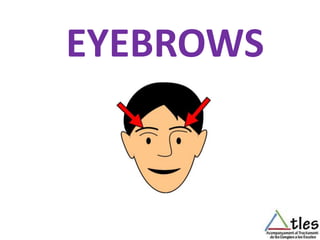 Parts of the Body 2 | PPT