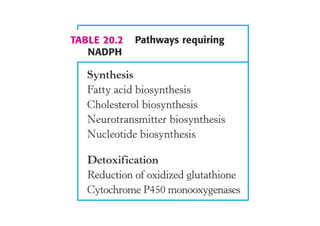 PP pathway.pdf