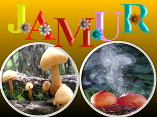 Jamur | PPT