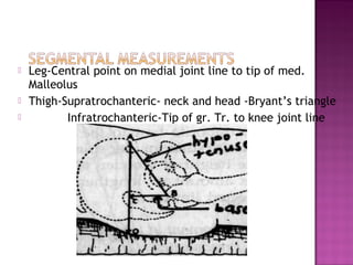 Clinical Examination of the Hip | PPT