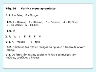 Plantas sem flor | PPTX