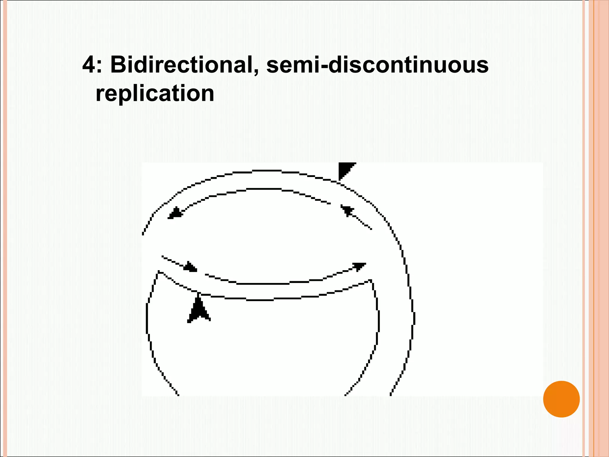 chloroplast DNA | PPT