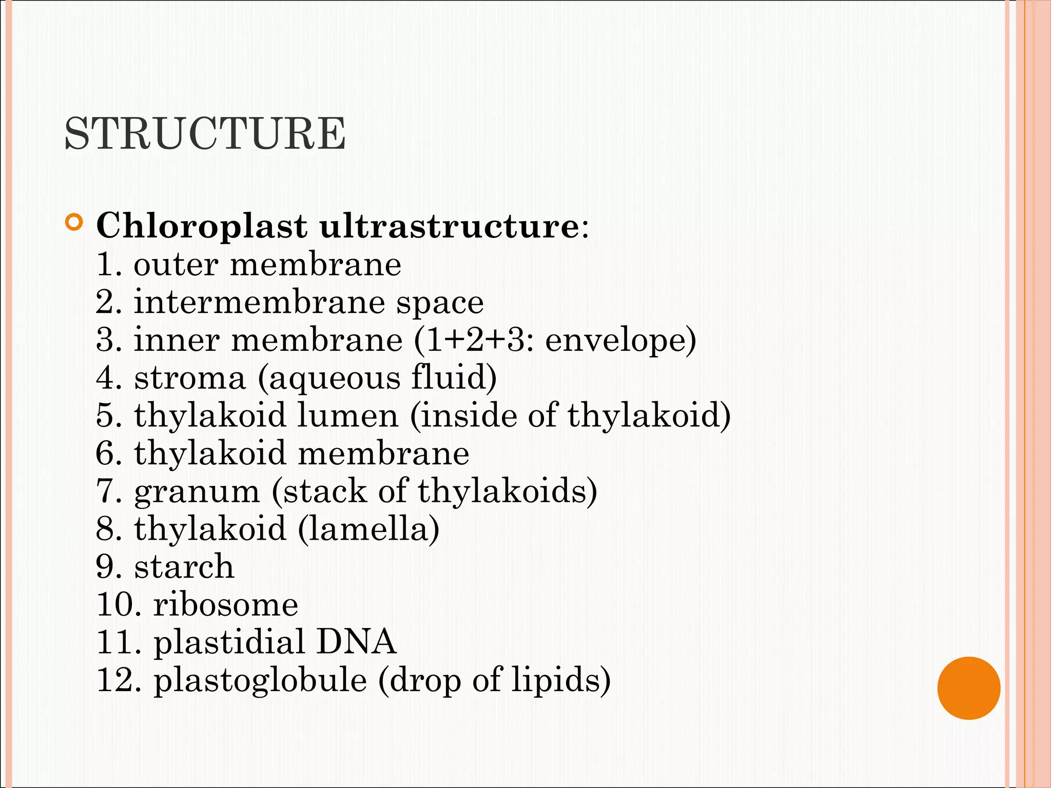 chloroplast DNA | PPT
