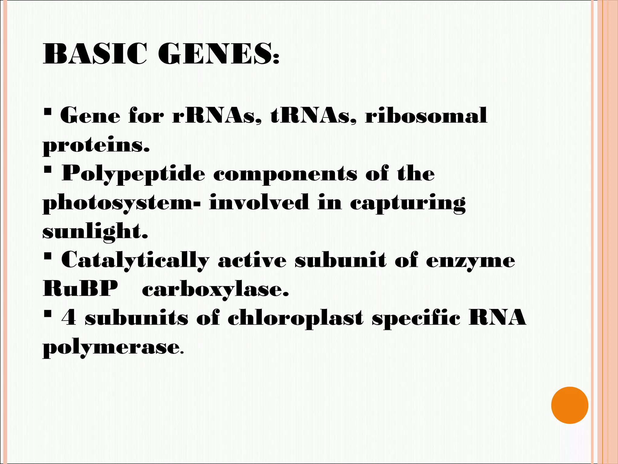 chloroplast DNA | PPT
